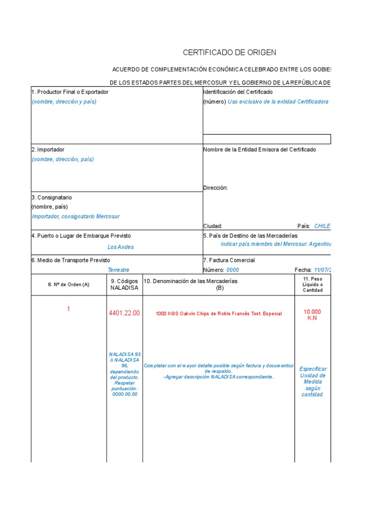 Instructivo y Ejemplo de Llenado de Certificado de Origen Mercosur | PDF | Chile | Business