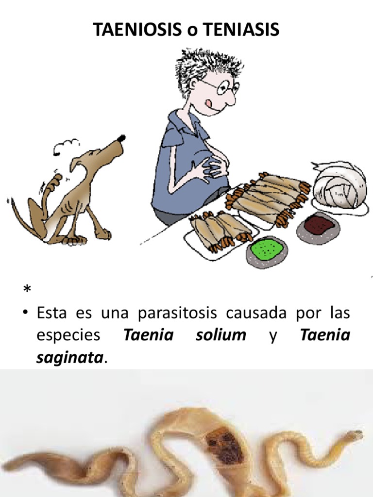 Taeniosis o Teniasis | PDF | Especialidades Medicas | Medicina CLINICA
