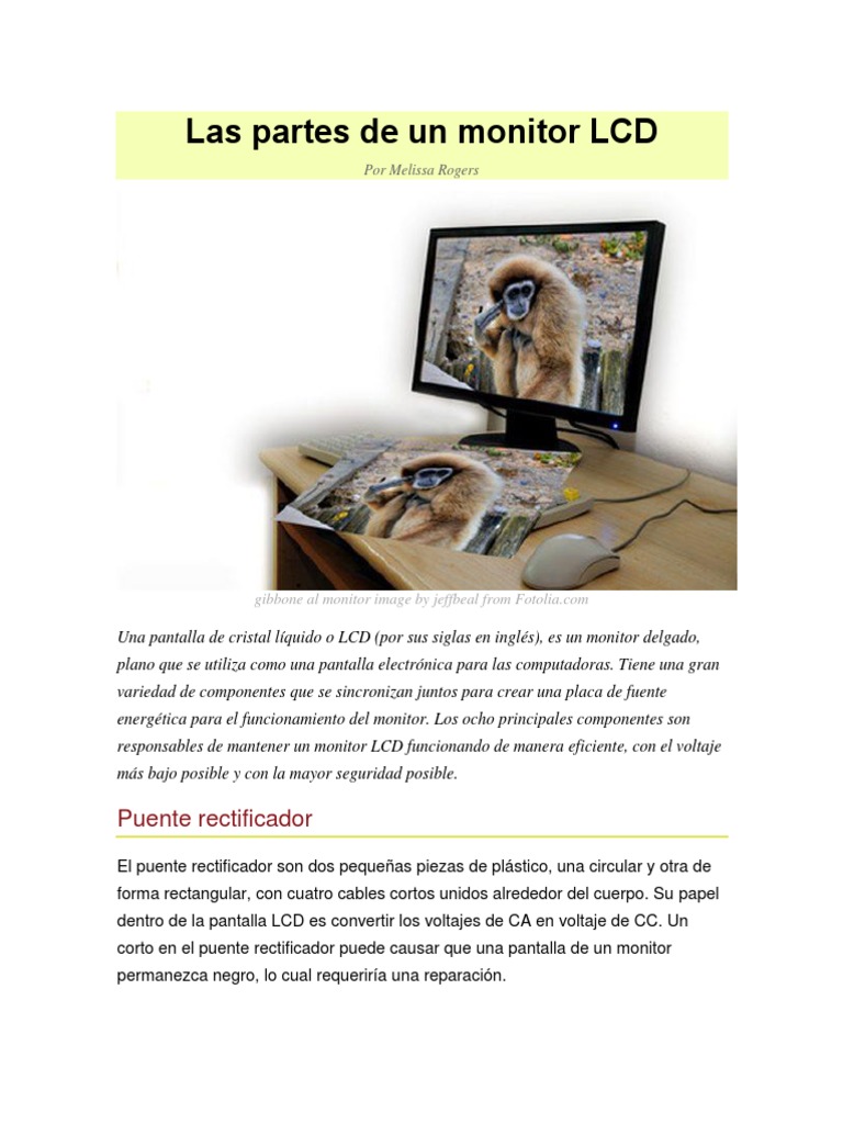 Las Partes de Un Monitor LCD | PDF | Pantalla de cristal líquido | Diodo