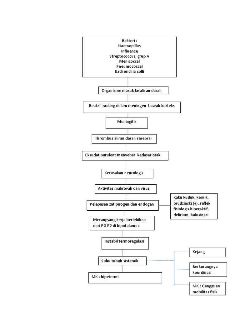 Pathway Mobilitas Fisik | PDF