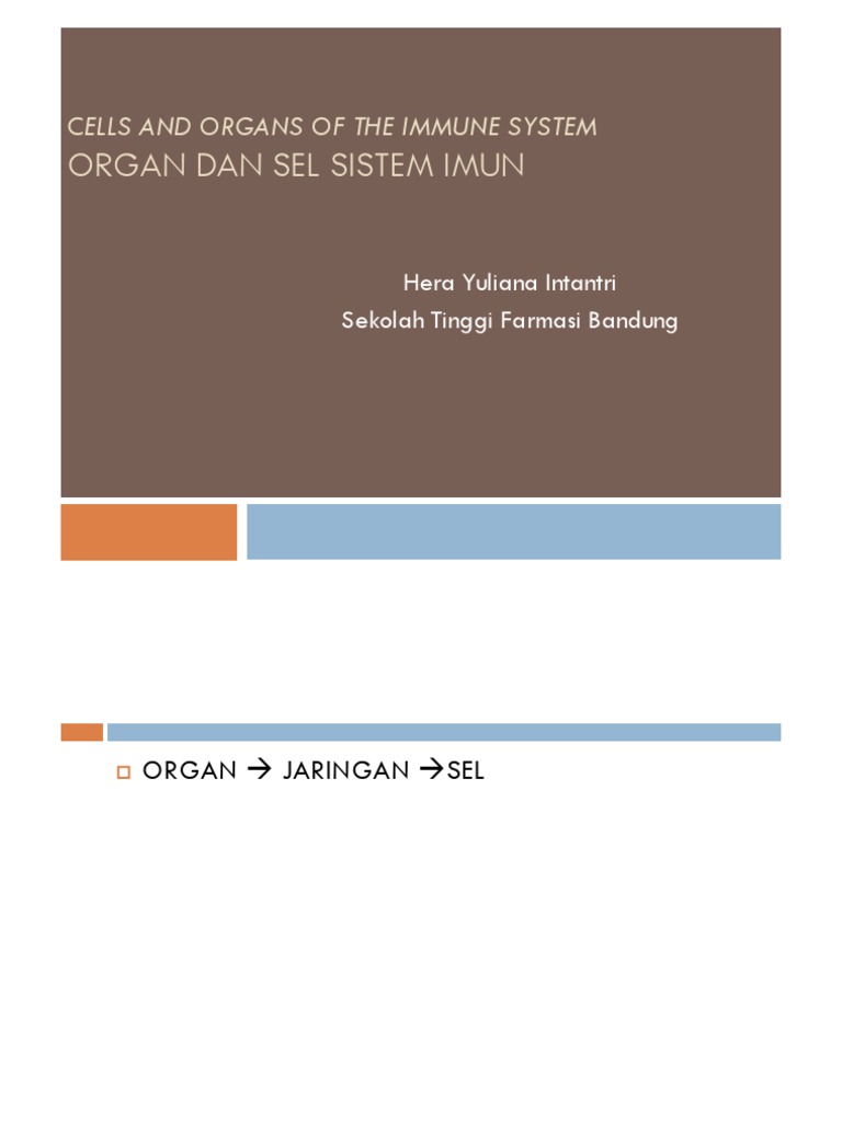 Organ Dan Sel Sistem Imun | PDF