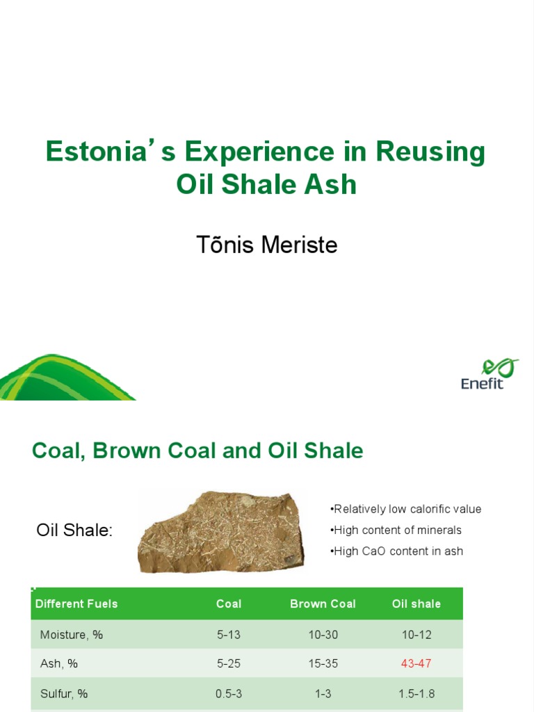 Estonia's Experience in Reusing Oil Shale Ash | PDF | Fly Ash | Coal