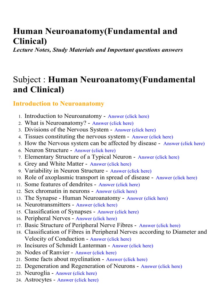 Human Neuroanatomy Study Guide | PDF | Brainstem | Cerebrum