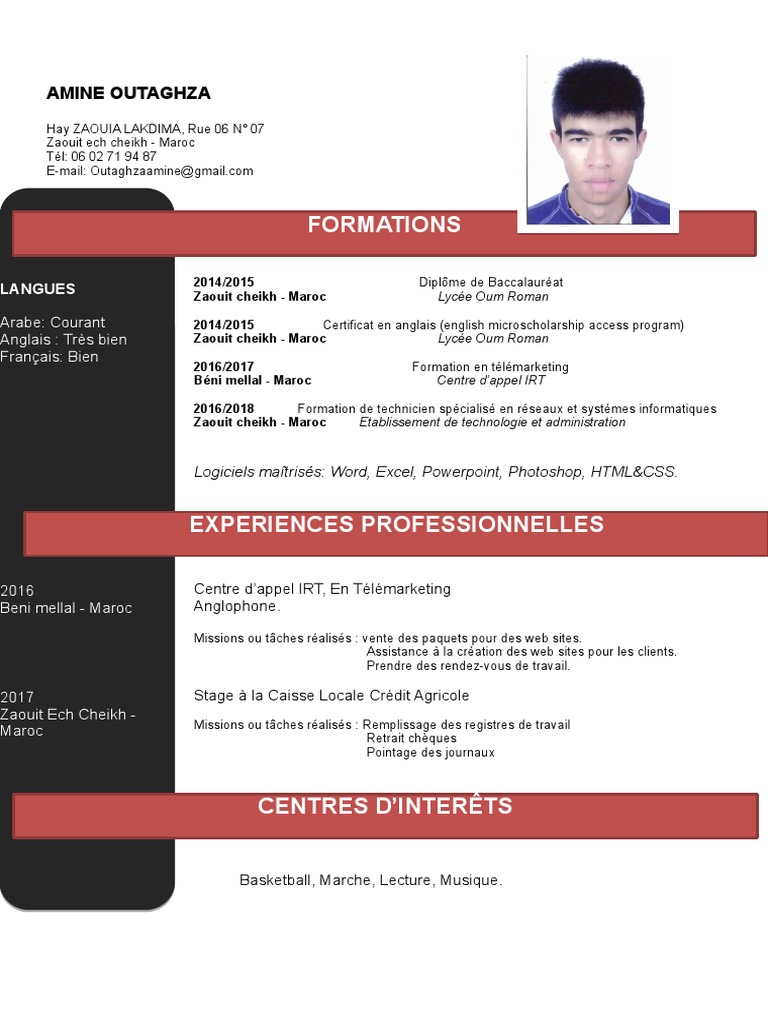 CV Amine | PDF | Évolution de carrière | Ordinateurs