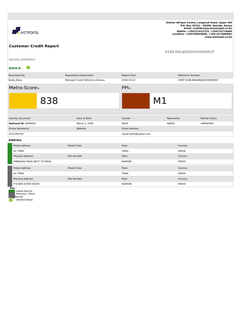 Metro-Score PPI: Customer Credit Report | PDF | Credit (Finance) | Payments