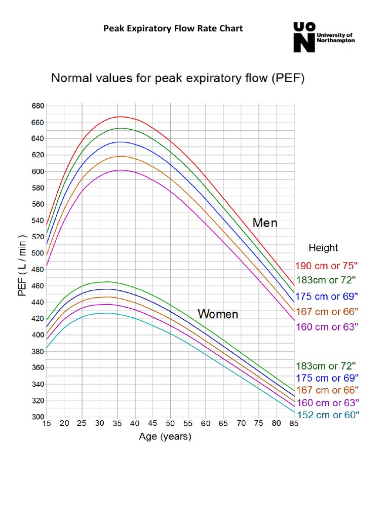 PEF Chart - Peak Expiratory Flow Rate Chart | PDF