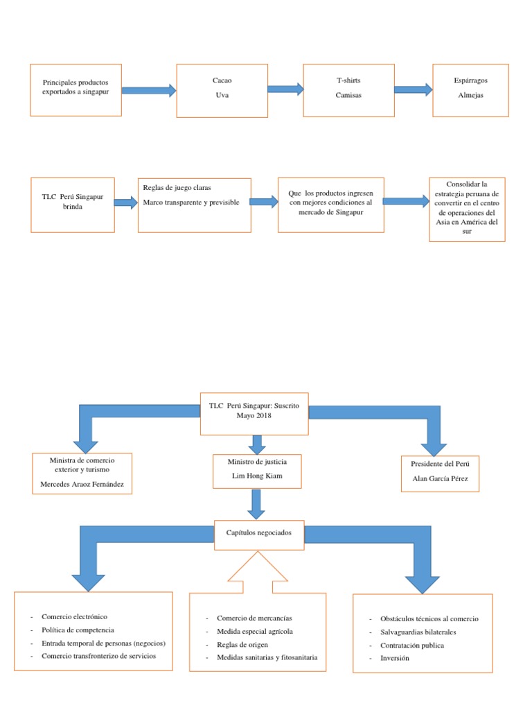 Mapa Conceptual de TLC | PDF | Perú | Relaciones Internacionales