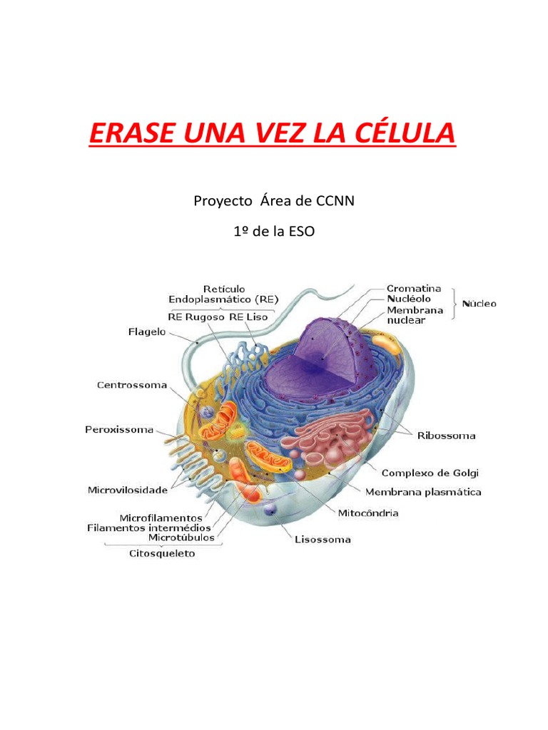 Proyecto sobre la Célula en CCNN | PDF | Biología Celular) | Aprendizaje