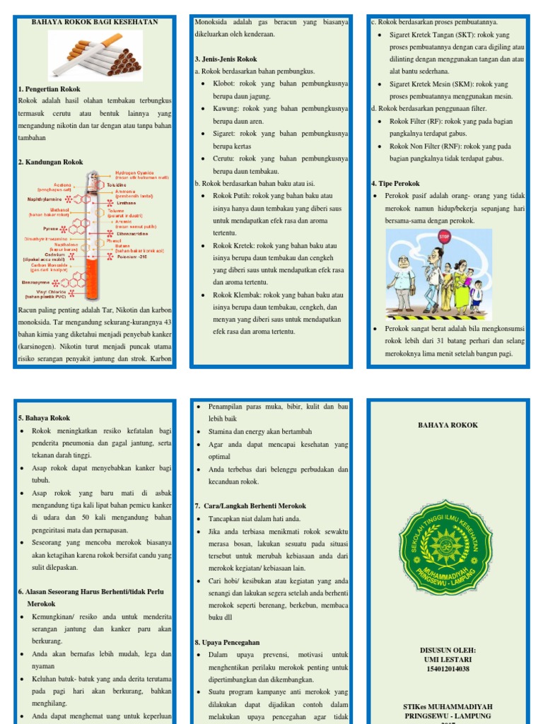 Leaflet Bahaya Rokok | PDF
