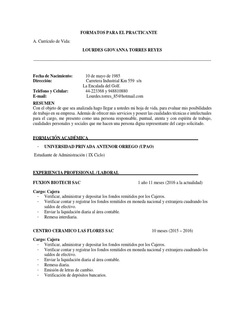 Formato CV - Lourdes Torres | PDF | Business