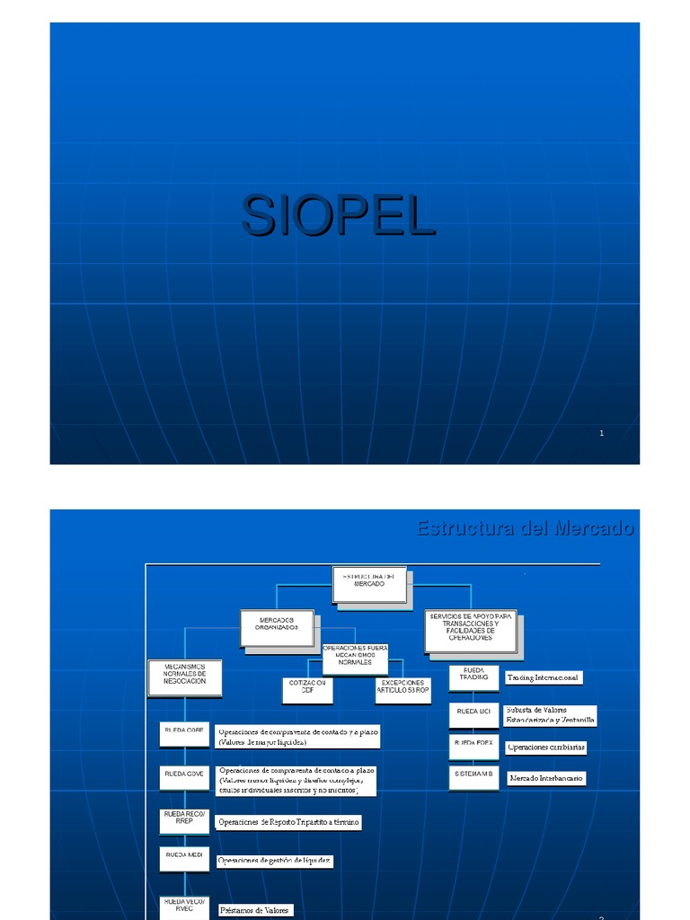 SIOPEL | PDF | Precios | Subasta