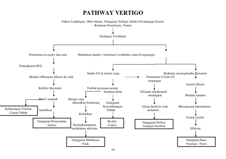 Pathway Vertigo New | PDF