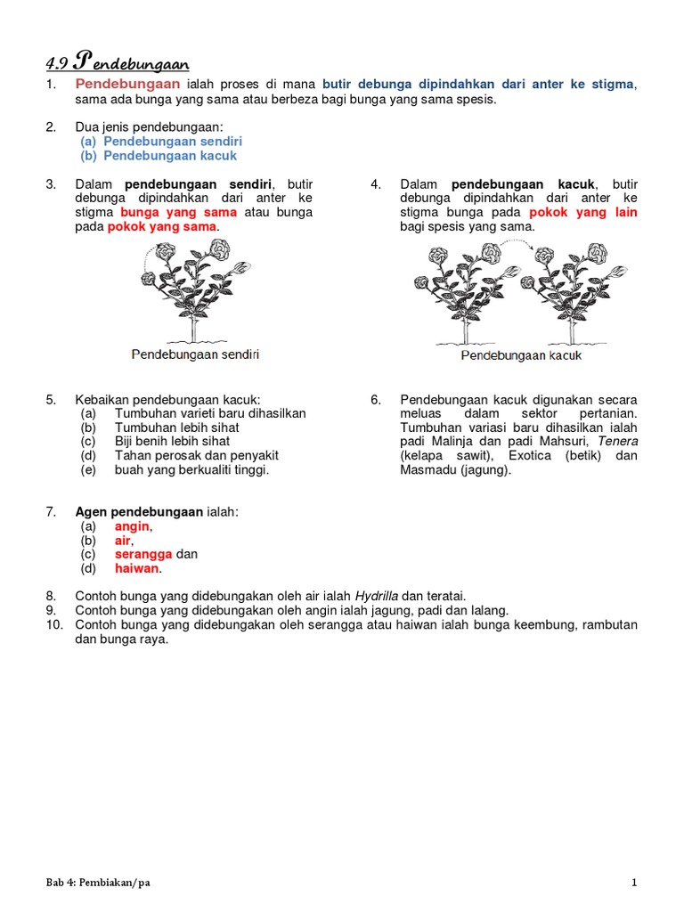 4.9 Pendebungaan PDF | PDF