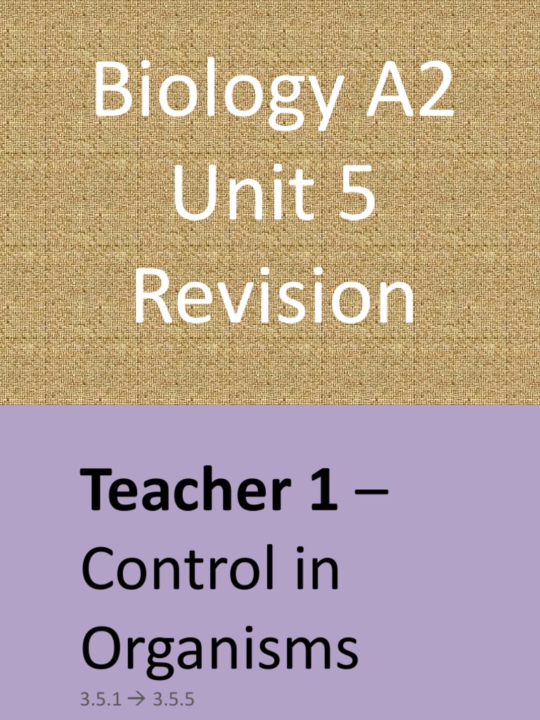 Biology A2 Unit 5 Revision | PDF | Chemical Synapse | Action Potential