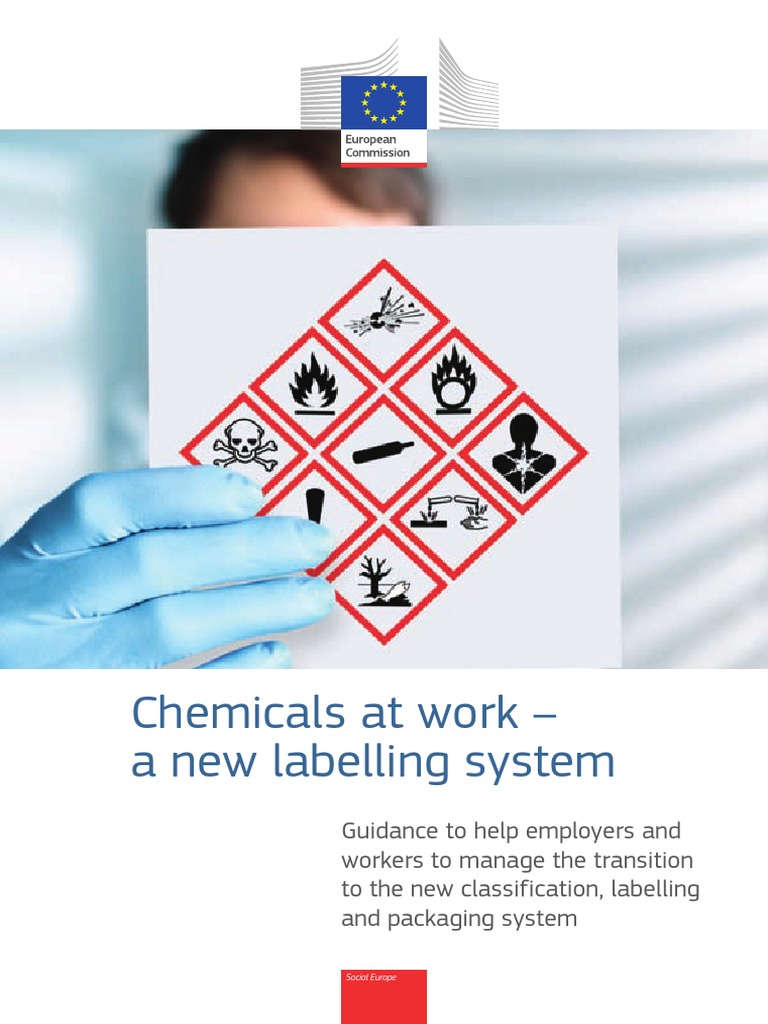 Chemical Labels Guide en | PDF | Dangerous Goods | Safety