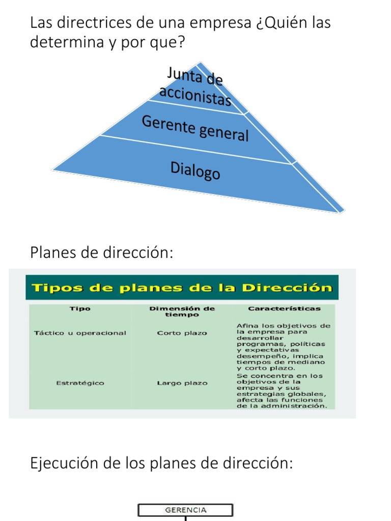 Las Directrices de Una Empresa ¿Quién Las | PDF