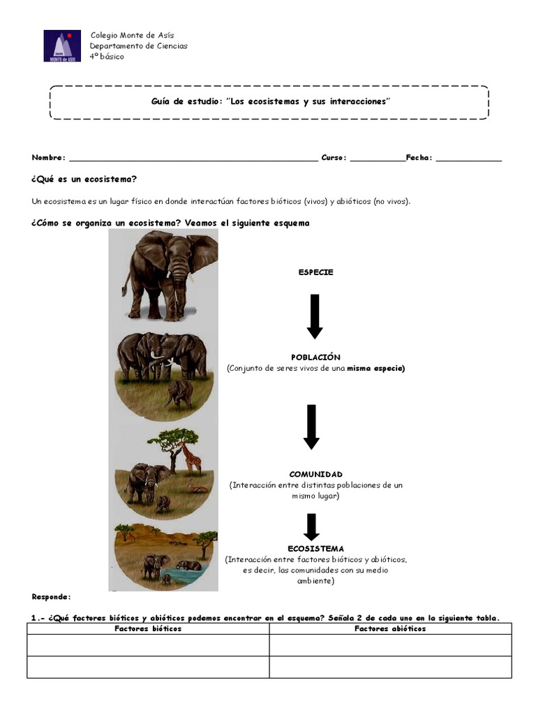 4° Guía Los Ecosistemas y Sus Interacciones | PDF | Mimetismo | Ecosistema
