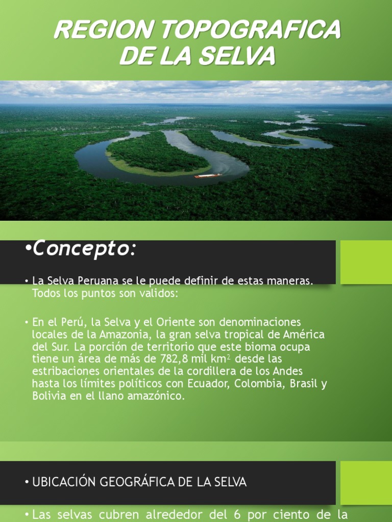 Region Topografica de La Selva | PDF | Selva | Zona tropical