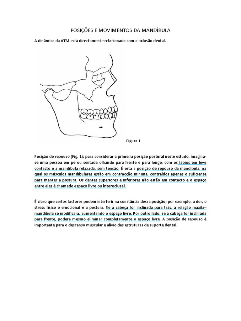PR - Posições e Movimentos Da Mandíbula | PDF | Dente | Natureza