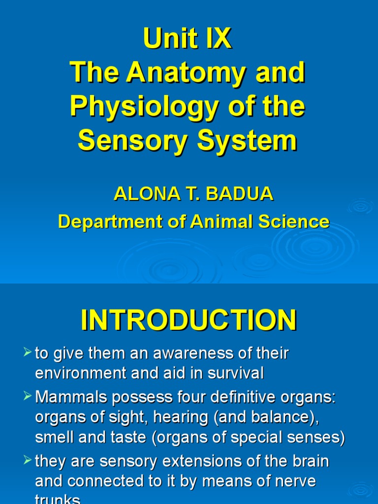 Unit IX The Anatomy and Physiology of The Sensory System | PDF | Senses ...