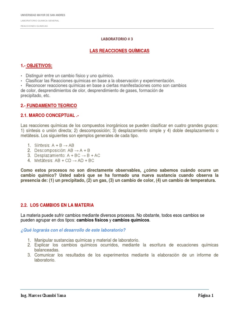 Hoja De Trabajo Con Descripción General De Reacciones Químicas Sofia