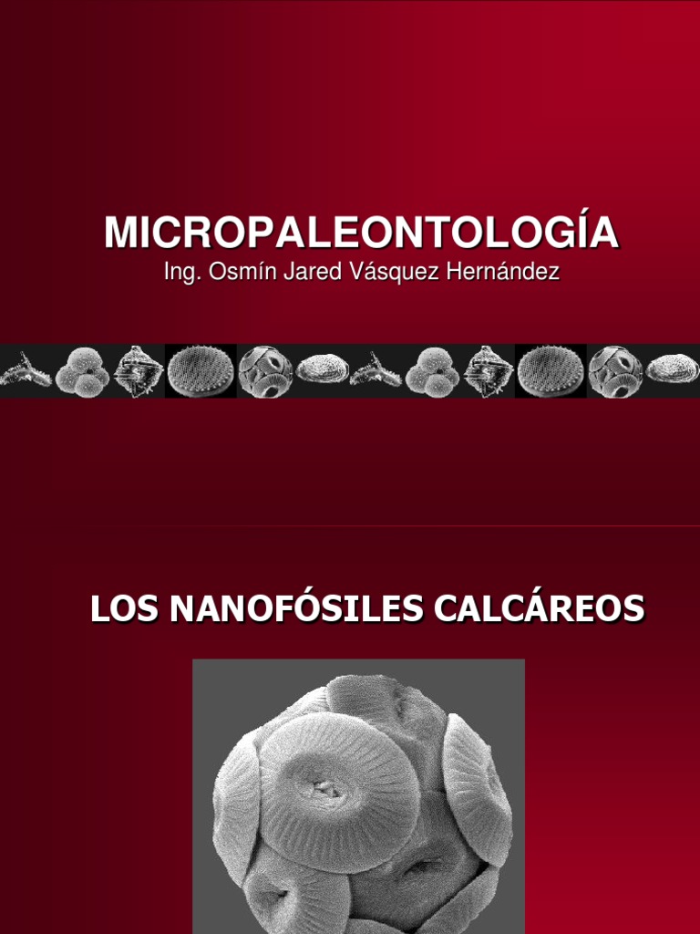 Nanofósiles calcáreos: cocolitofóridos | PDF | Cretáceo | Biología Celular)
