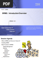 BRMS Commands | PDF | Backup | Mass Media