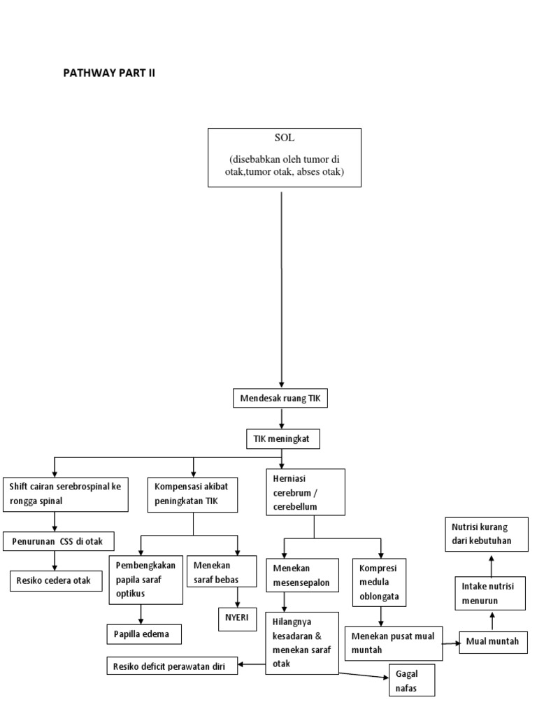 Pathway Part Ii: SOL (Disebabkan Oleh Tumor Di Otak, Tumor Otak, Abses Otak) | PDF