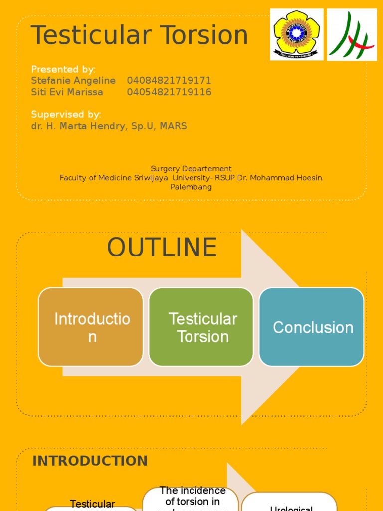 Referat Torsio Testis | PDF | Testicle | Medical Specialties