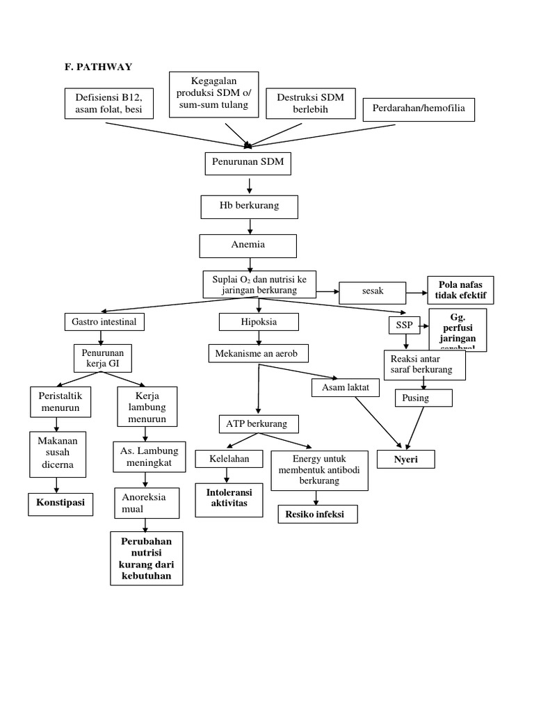 Pathway Anemia | PDF