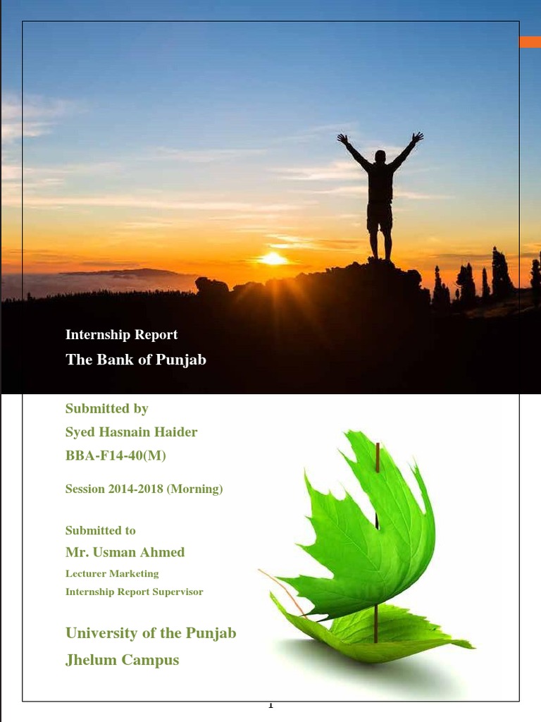 Syed Hasnain Haider - The Bank of Punjab | PDF | Banks | Cheque