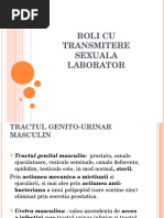 Model Referat Medical | PDF | Health Care | Social Science