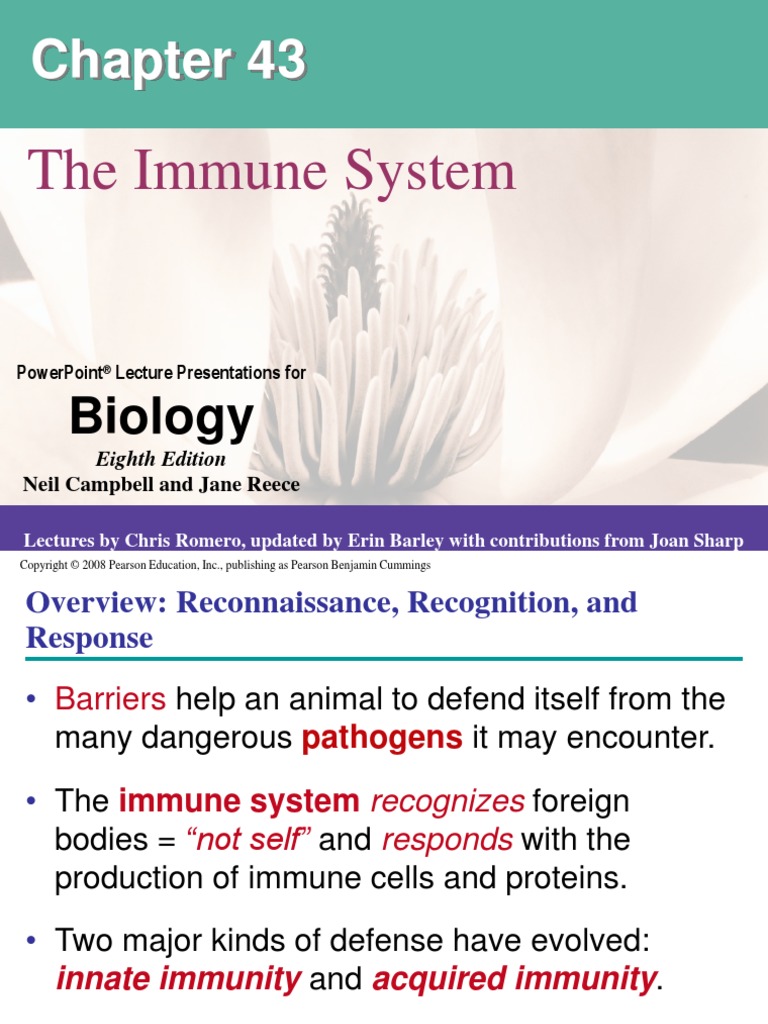 43 Lecture Presentation 0 | PDF | Immune System | Adaptive Immune System
