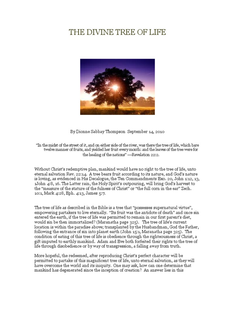 The Divine Tree of Life | PDF | Tree Of Life | Adam And Eve