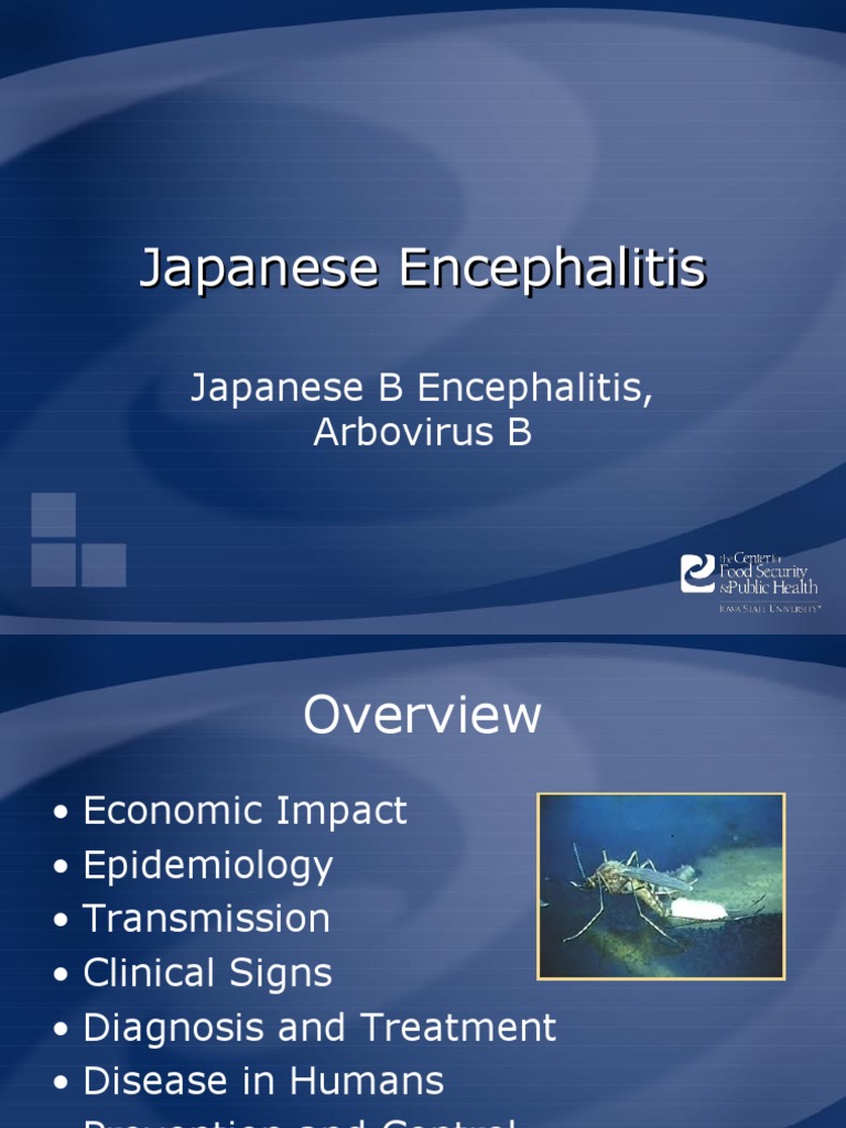 Japanese Encephalitis Overview and Management | PDF | Public Health ...
