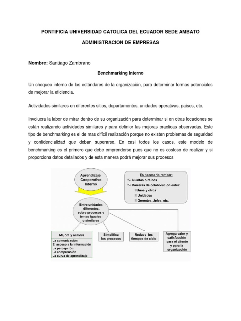 Benchmarking-Interno | PDF