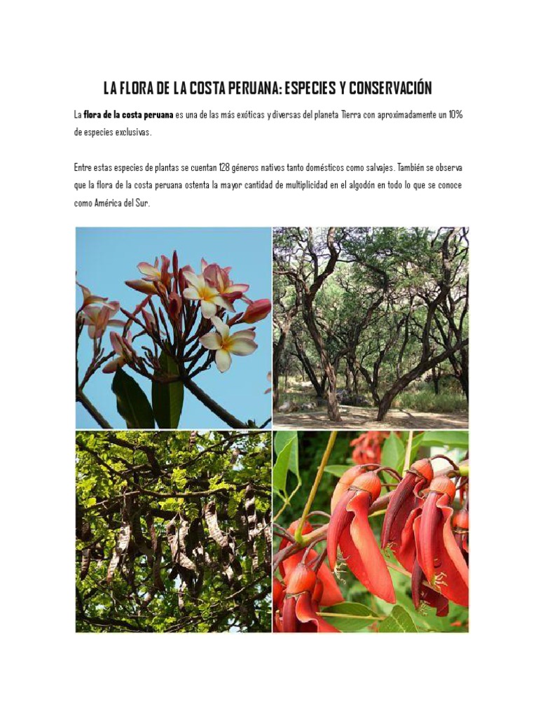 La Flora de La Costa Peruana | PDF | Arboles | Perú