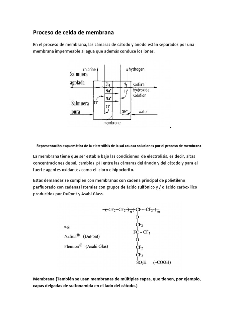 Celda De Membrana Pdf