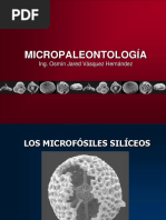 Radiolarios: Taxonomía y Aplicaciones | PDF | Biología Celular | Anatomía