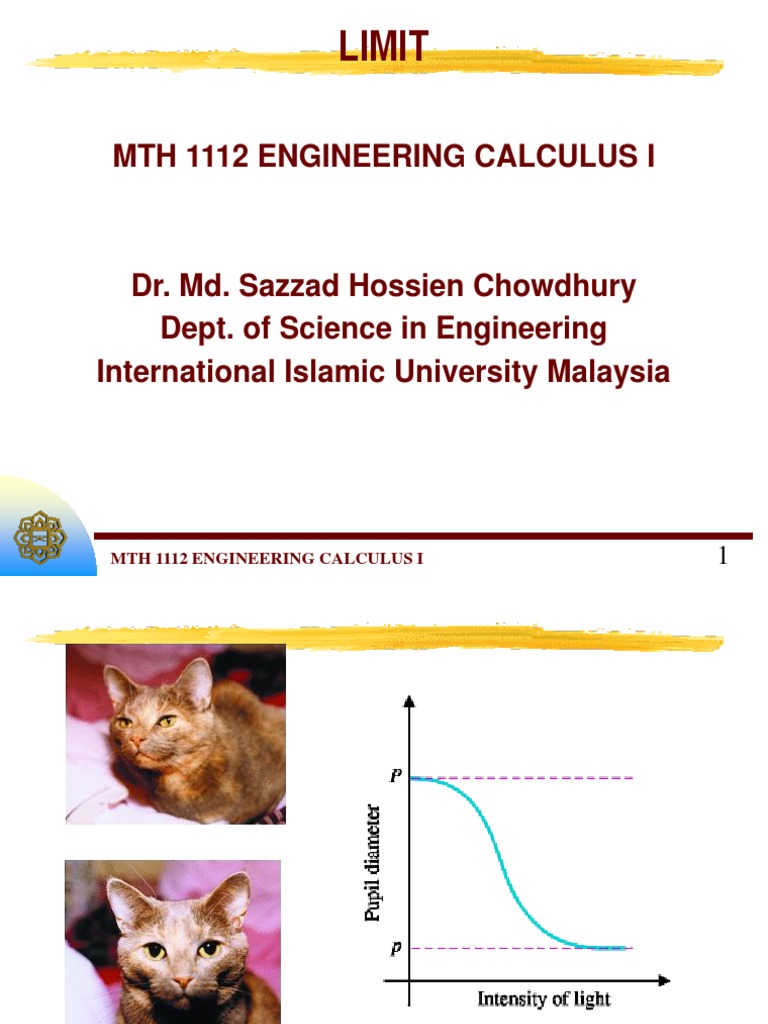 Understanding Limits in Engineering Calculus | PDF | Asymptote | Continuous Function