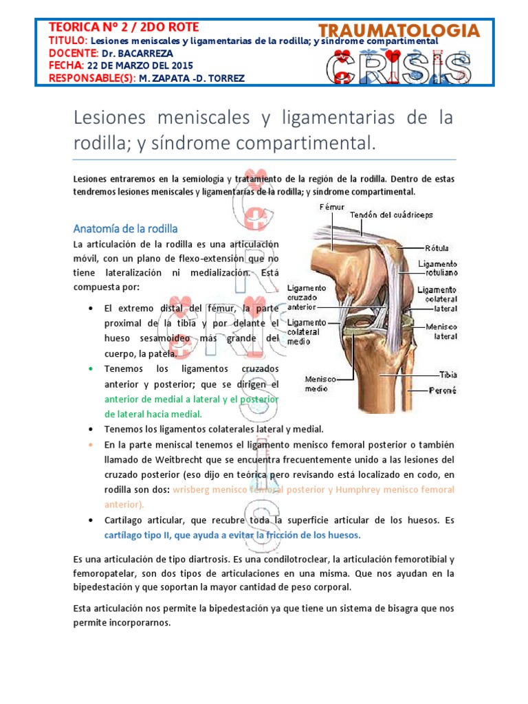 Lesiones Meniscales En Rodilla – CCRH