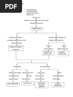 Pathophysiology of Pressure Ulcers | PDF | Clinical Medicine | Medical Specialties