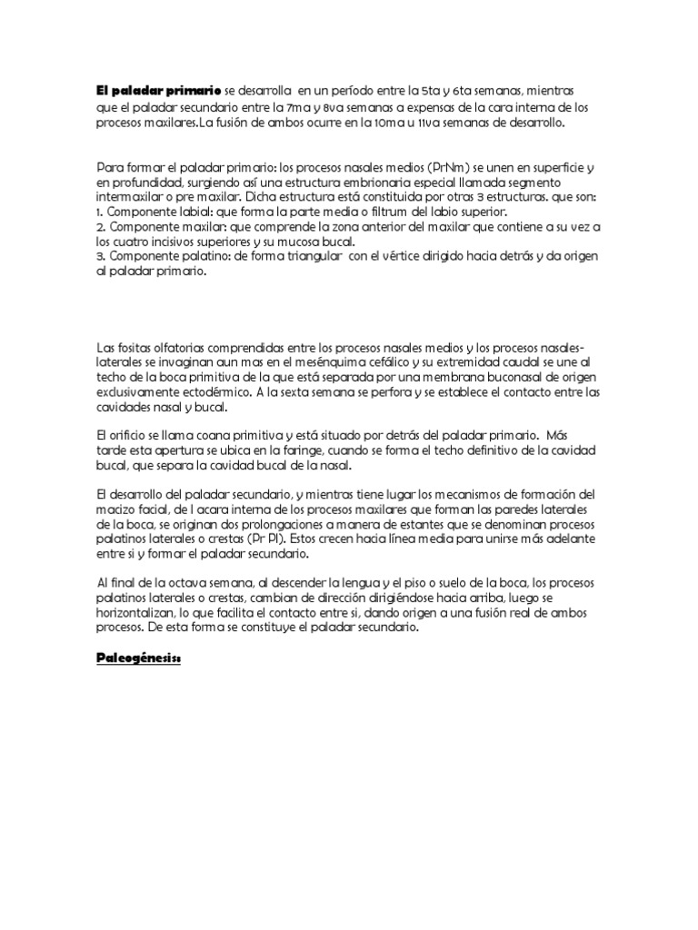 Desarrollo del Paladar Primario y Secundario | PDF | Anatomía ...