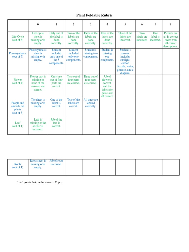 Plant Foldable Rubric | PDF | Photosynthesis | Leaf