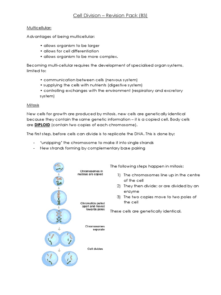 Cell Division - Revision Pack (B3) | PDF | Meiosis | Ploidy