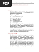 Experiencias y Ecuación de Nikuradse | PDF | Fricción | Ciencias fisicas