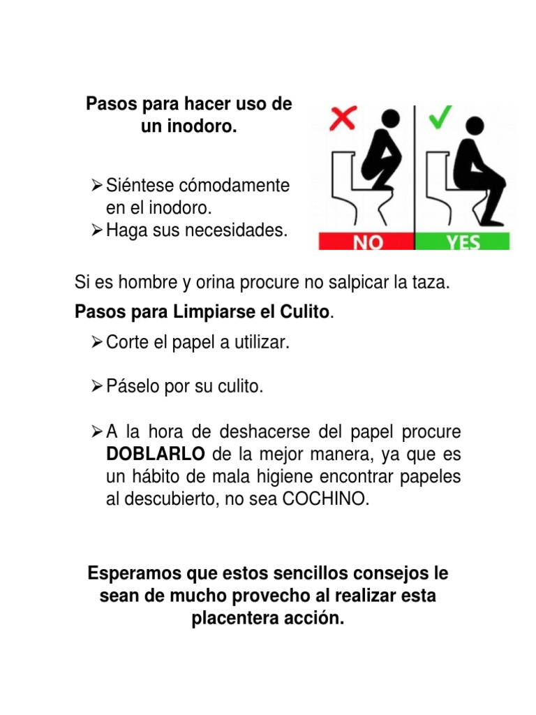Uso adecuado del inodoro y limpieza | PDF | Estilo de vida