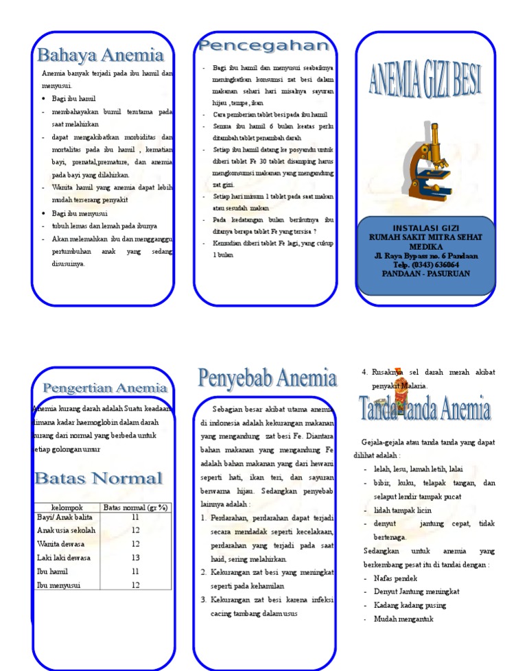 Leaflet Anemia Print | PDF