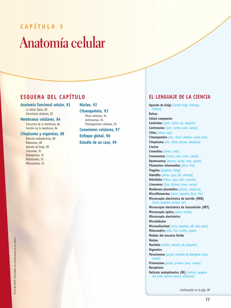 Capitulo3 Anatomia y Fisiologia Thibodeau Patton Quimica PDF | PDF