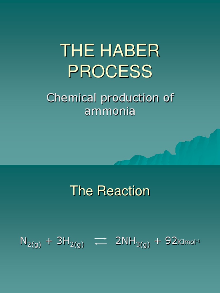 Haber Process | PDF | Chemical Reactions | Catalysis
